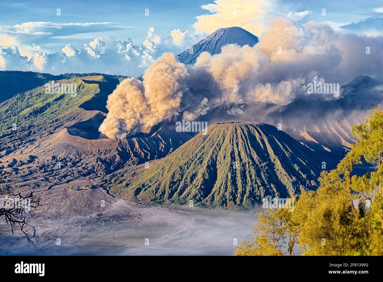 Taken @bromo tengger east hi-res stock photography and images - Alamy
