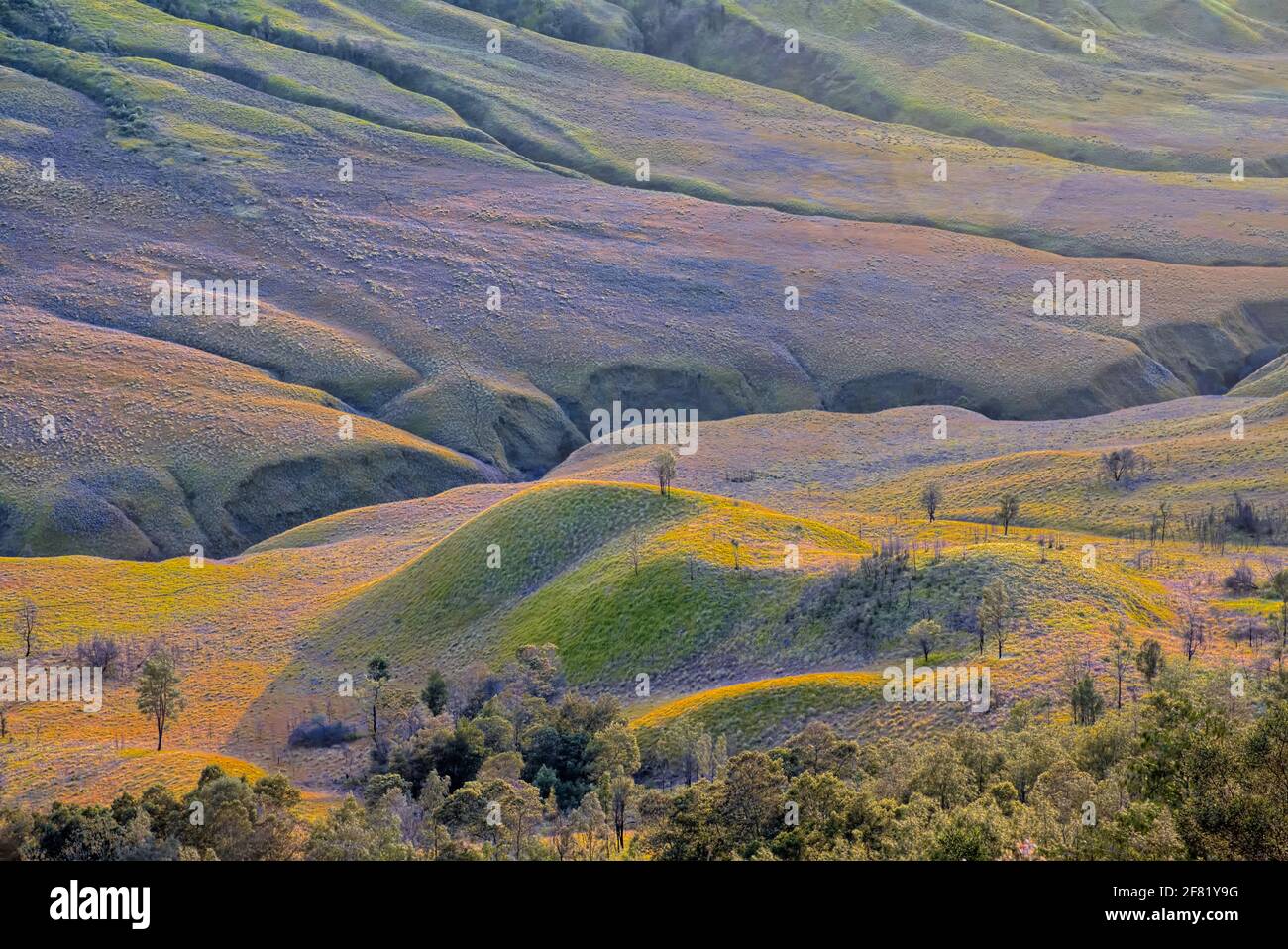 Java point hi-res stock photography and images - Alamy