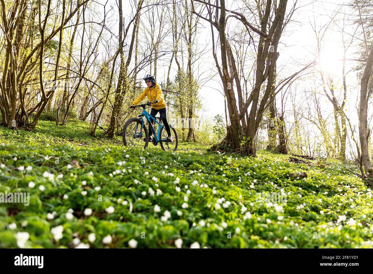 Boy riding mountain bike trough forest in spring Stock Photo - Alamy