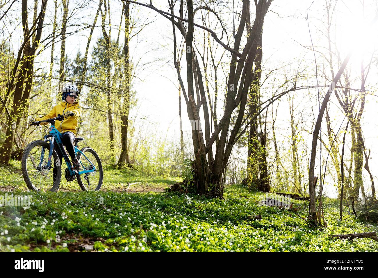 Boy riding mountain bike trough forest in spring Stock Photo - Alamy