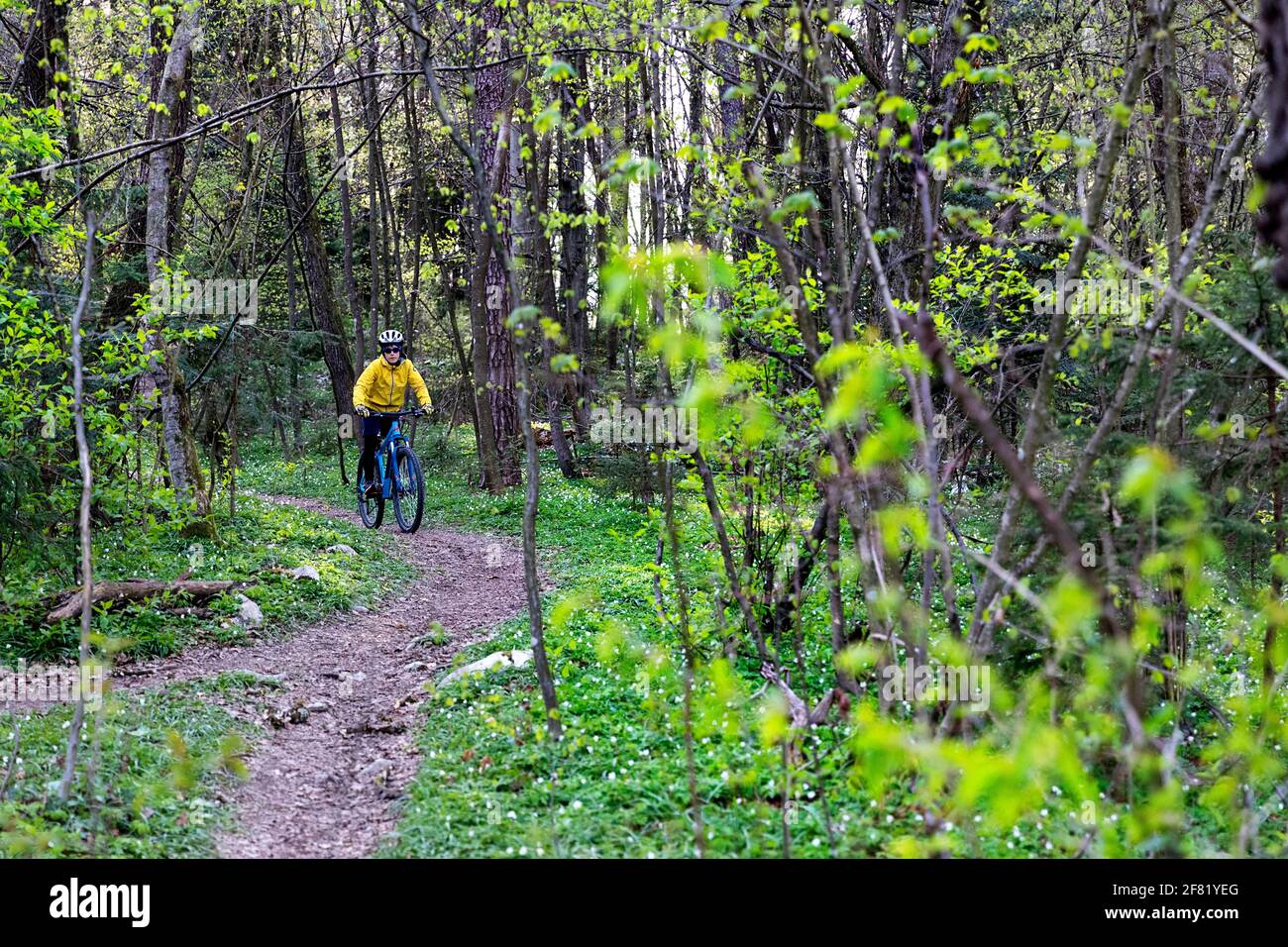 Boy riding mountain bike trough forest in spring Stock Photo - Alamy