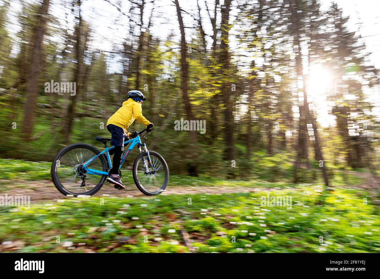 Boy riding mountain bike trough forest in spring Stock Photo - Alamy