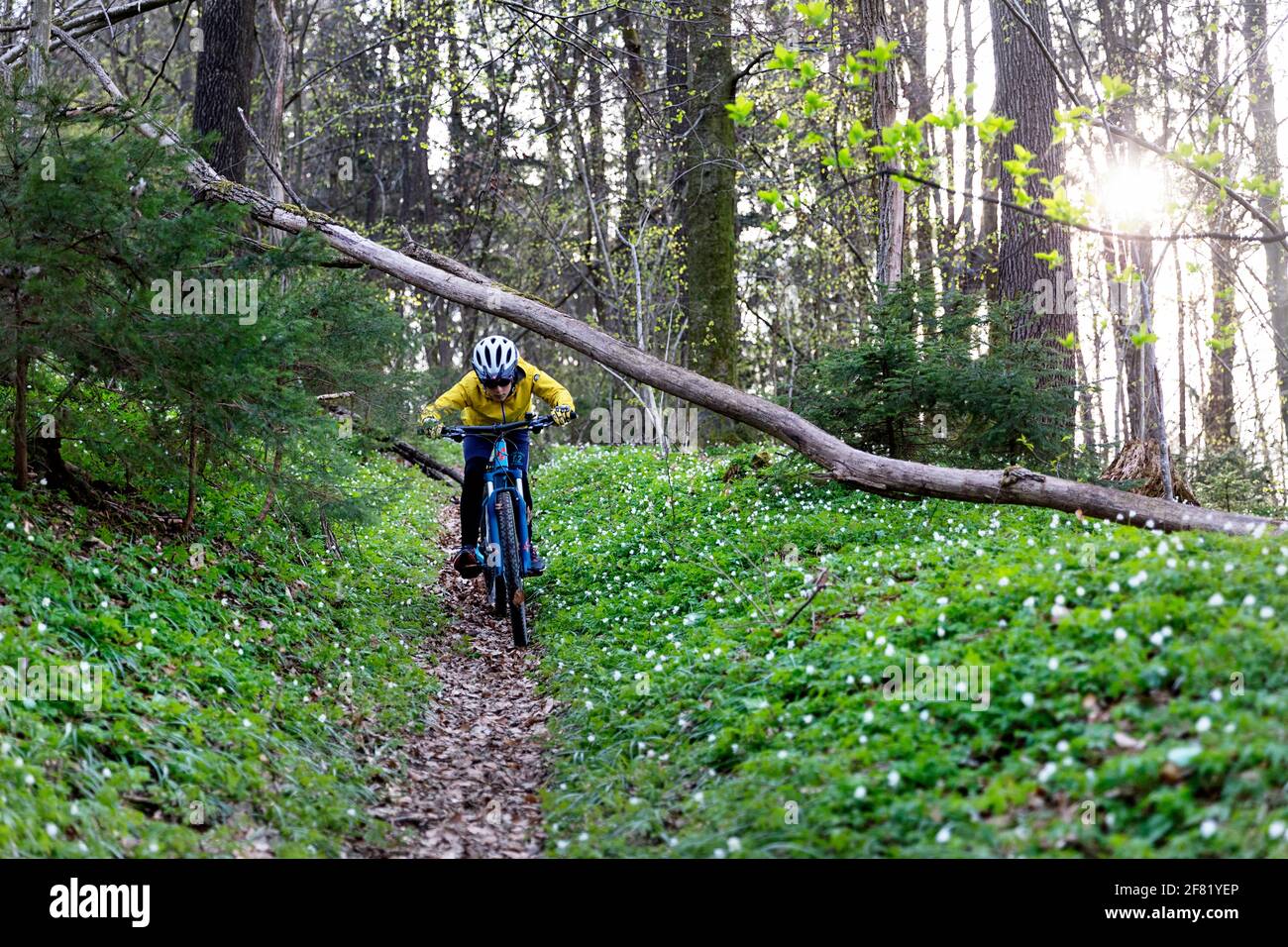 Boy riding mountain bike trough forest in spring Stock Photo - Alamy