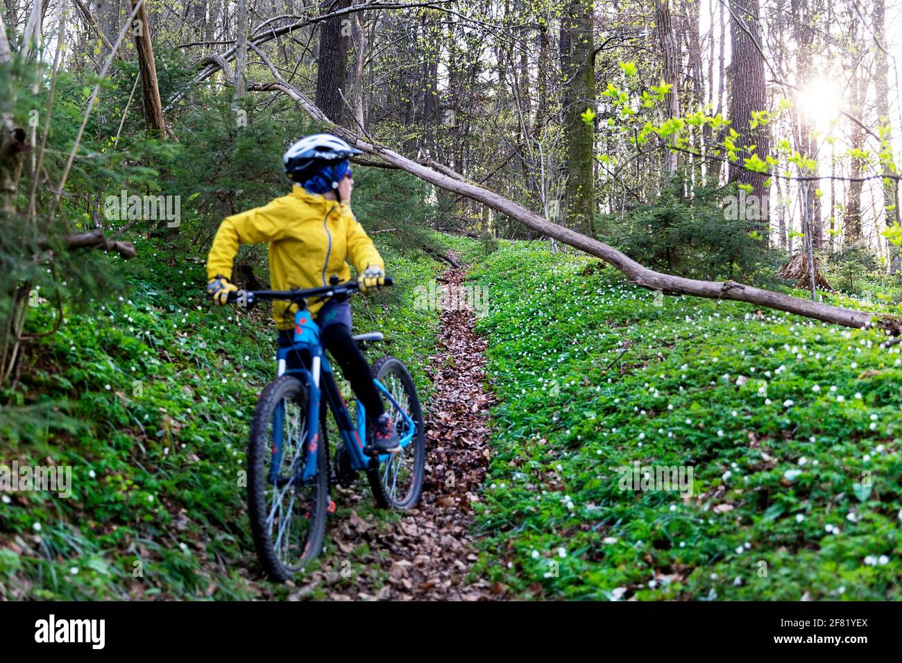 Boy riding mountain bike trough forest in spring Stock Photo - Alamy