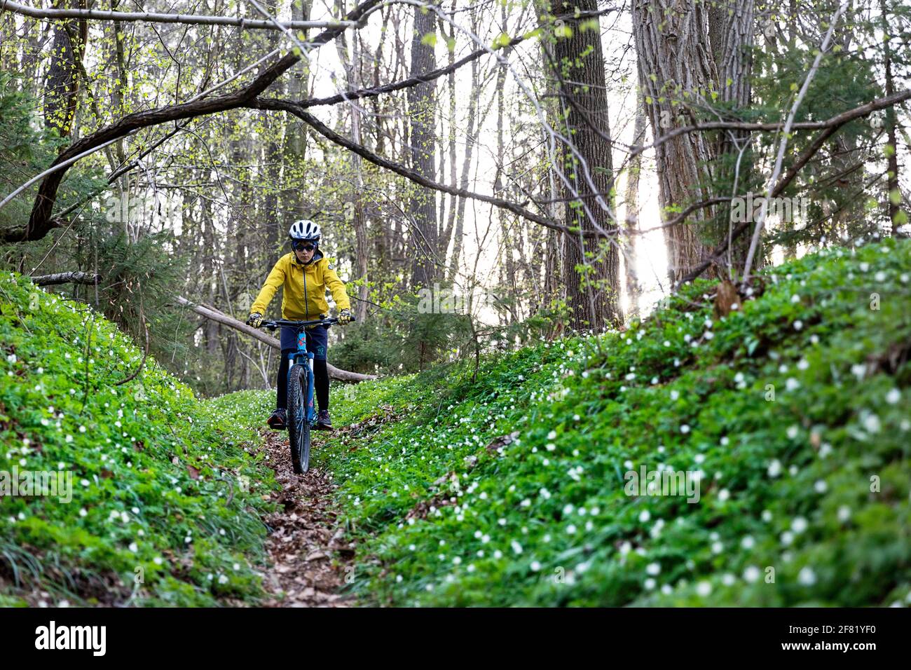 Boy riding mountain bike trough forest in spring Stock Photo - Alamy