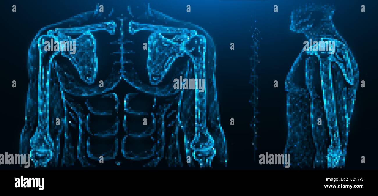 Polygonal vector illustration of a human model, shoulder joint, and ...
