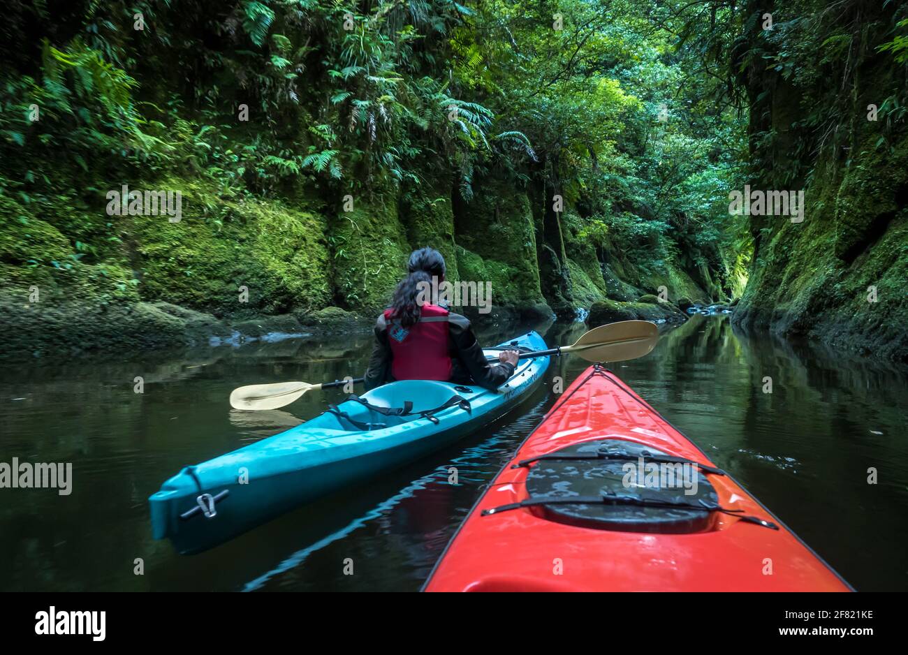 kayaking up mclarens falls wairoa river to find low worms at dusk in ...