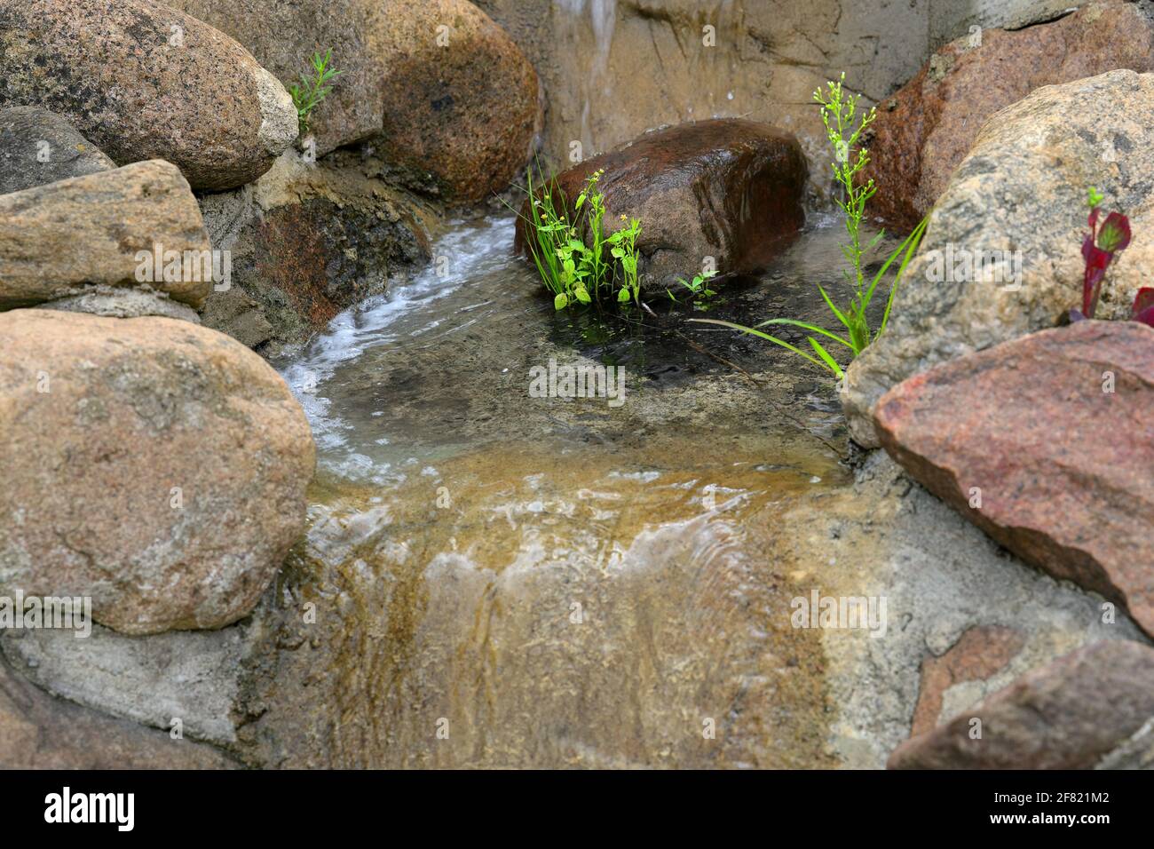Water cascade built of natural stones and rocks in the backyard garden ...