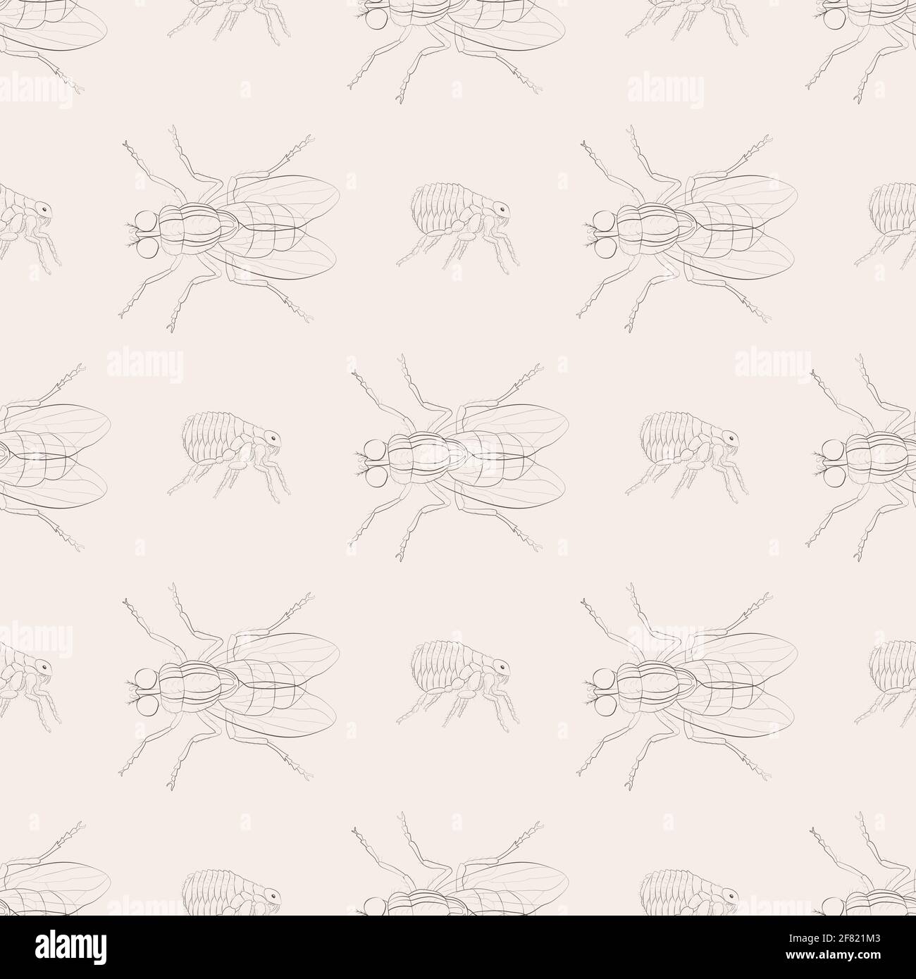 Insects natural Stock Vector Images - Alamy