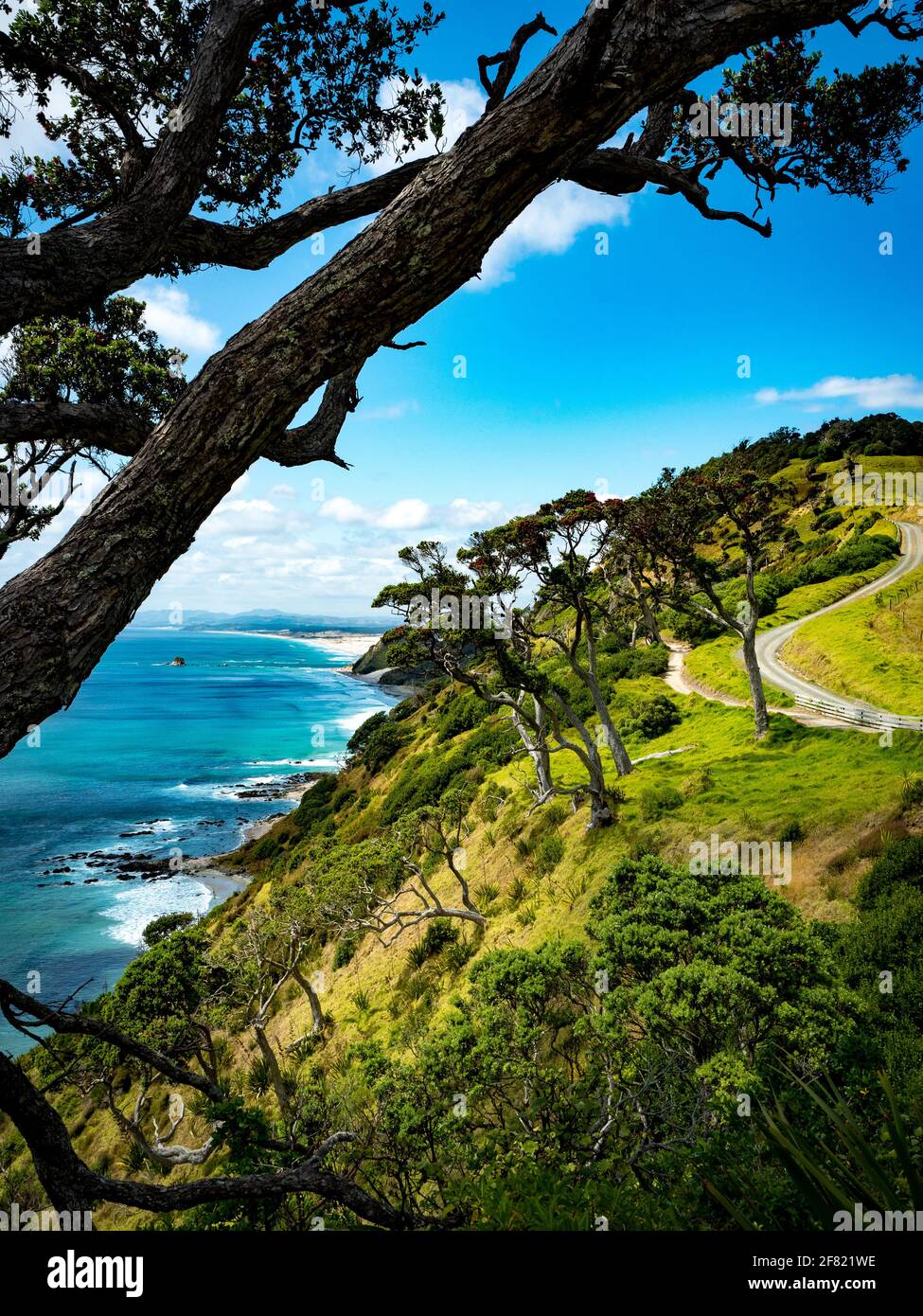 Mangawhai islands hi-res stock photography and images - Alamy