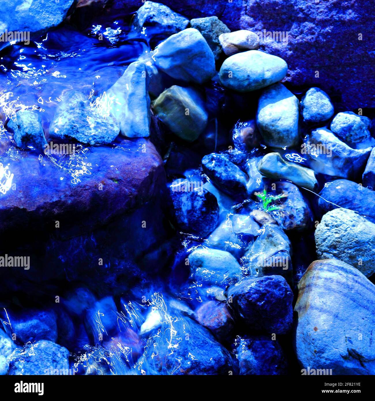 Mountain spring flowing on stones Stock Photo - Alamy