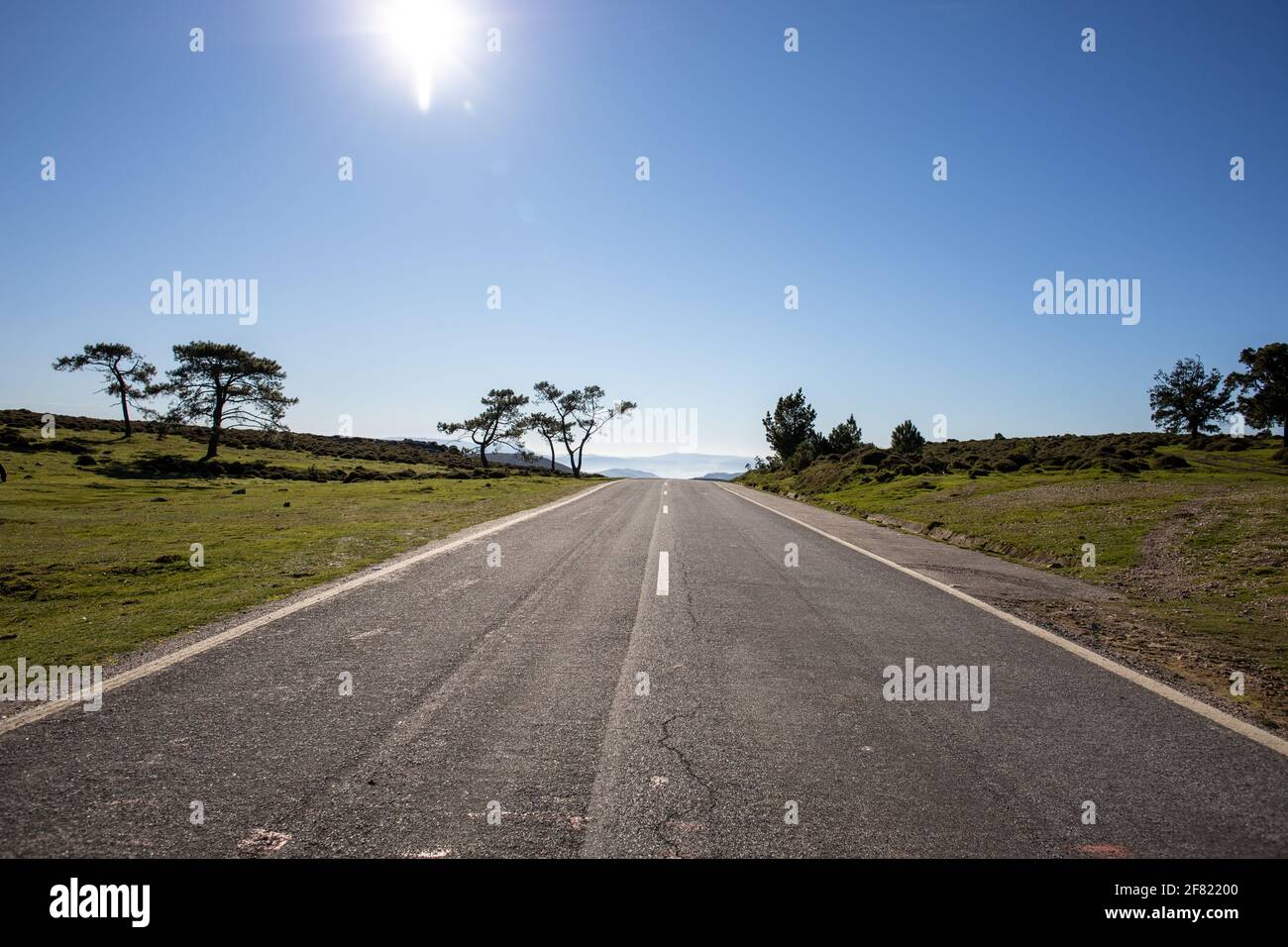 Tree trees horizon fields hi-res stock photography and images - Alamy
