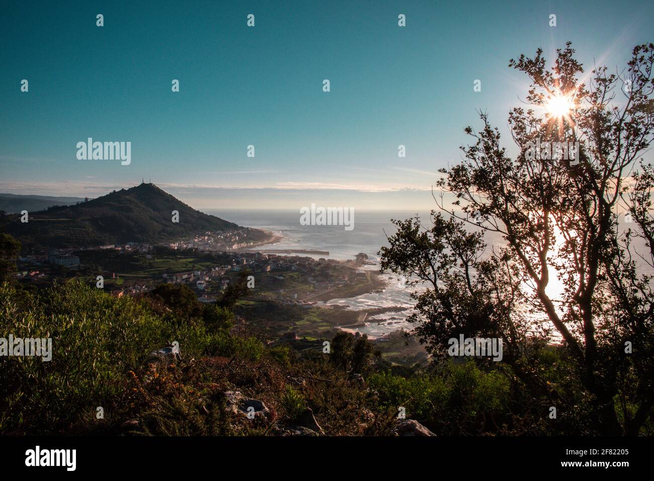 A breathtaking shot of sun piercing through tree leaves and branches ...