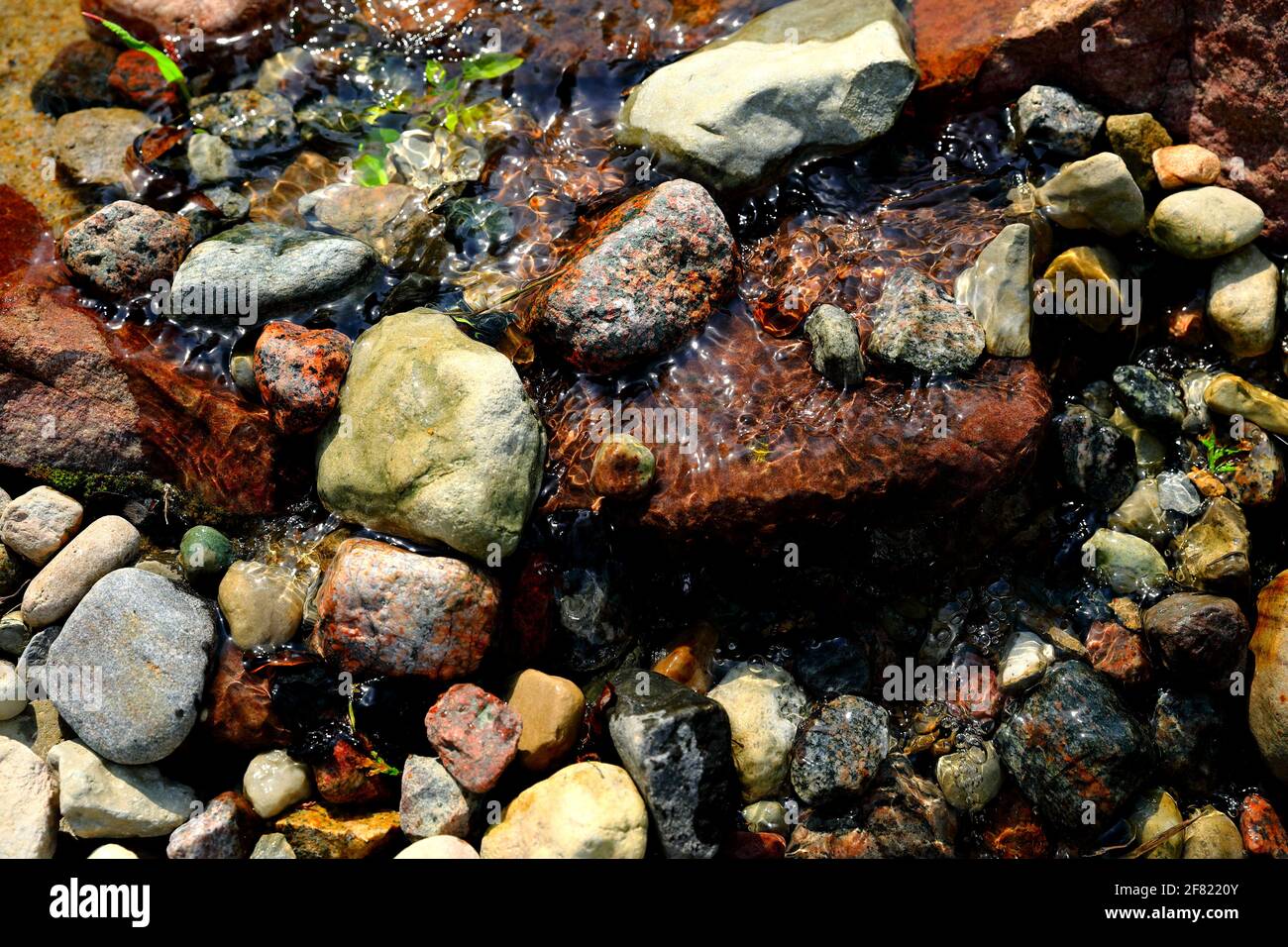 Mountain spring flowing on stones Stock Photo - Alamy