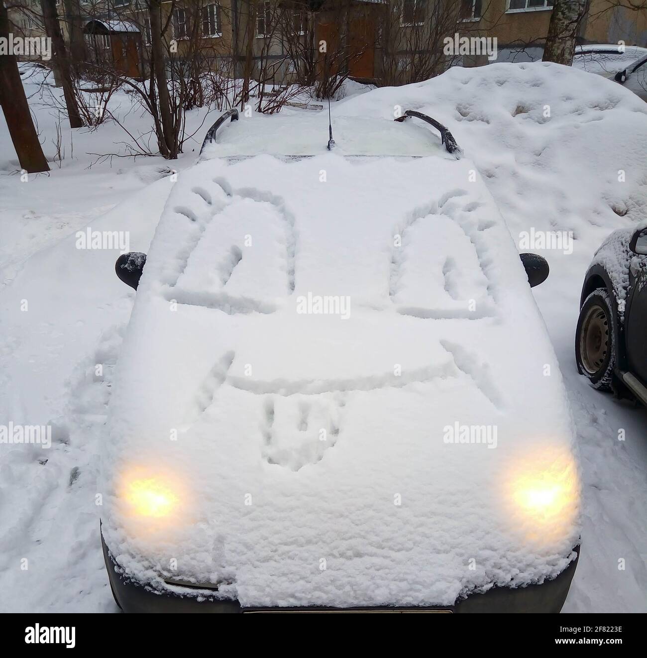 Funny Snow Car