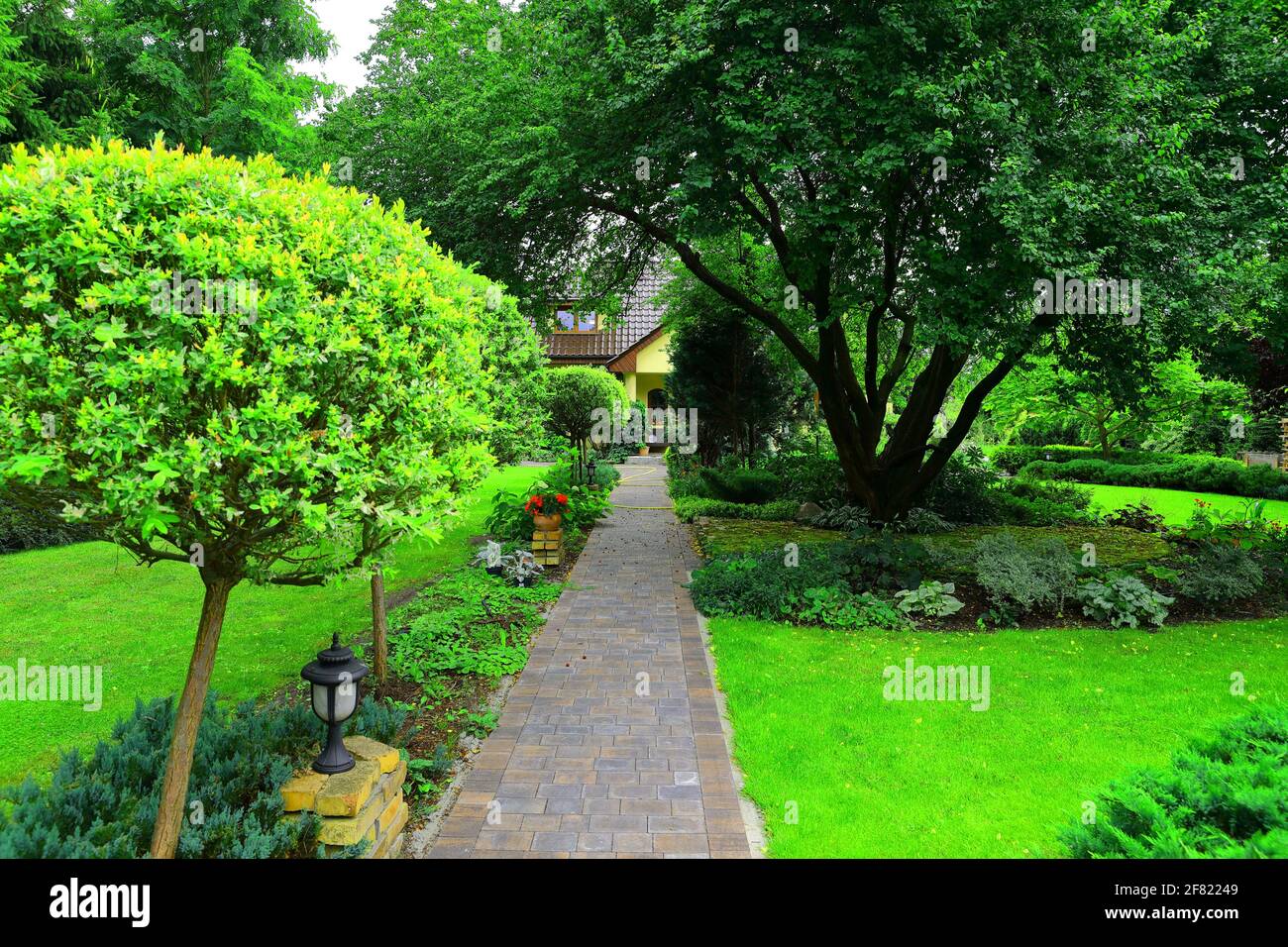 Shrubs along the way hi-res stock photography and images - Alamy