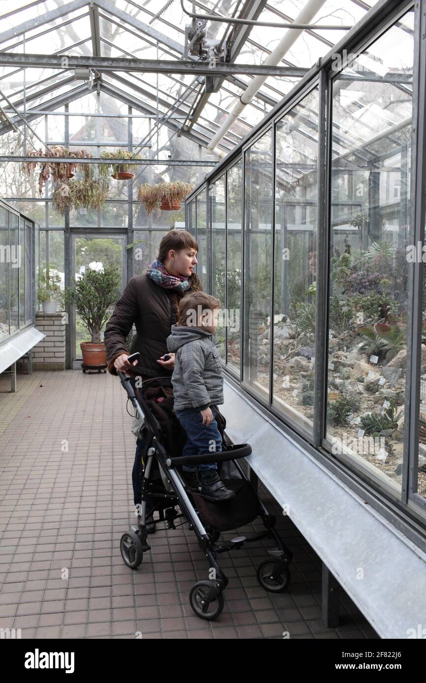 Russian cactus hi-res stock photography and images - Alamy