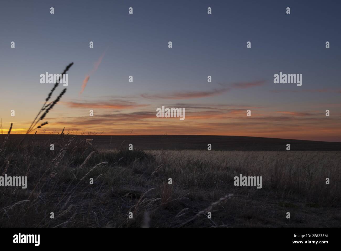 A beautiful pink sunset over a meadow Stock Photo - Alamy