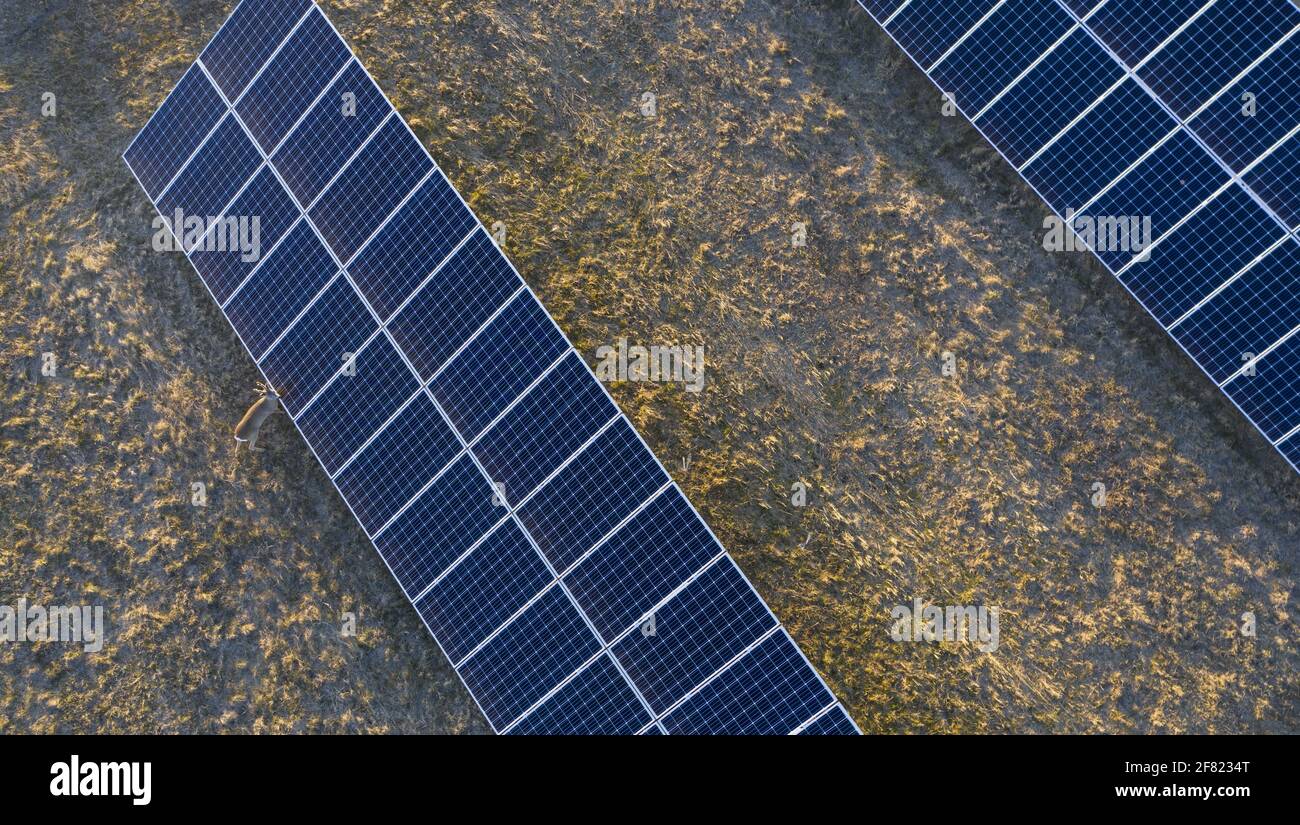 A high angle shot of solar panels in lines in the natural landscape ...