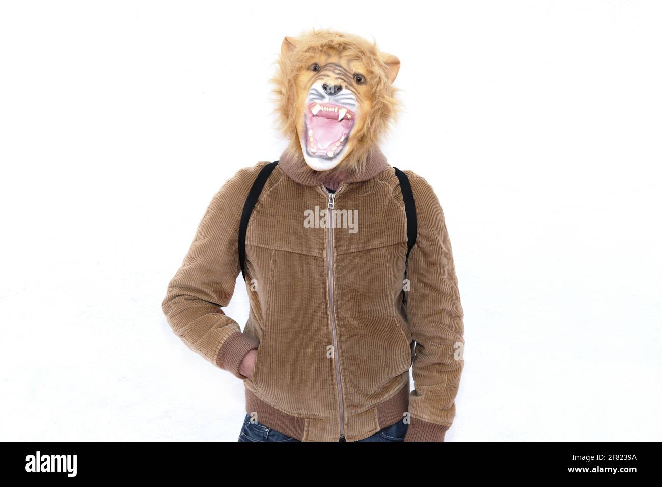 A man with a roaring lion full mask posing for camera isolated on white ...