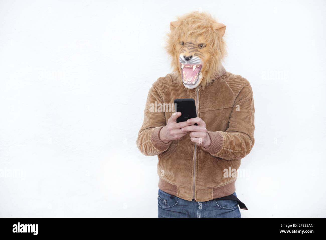 A man with a roaring lion full mask using his phone isolated on white ...