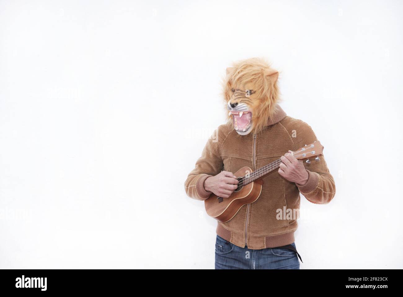 A man with a roaring lion full mask playing ukulele isolated on white ...