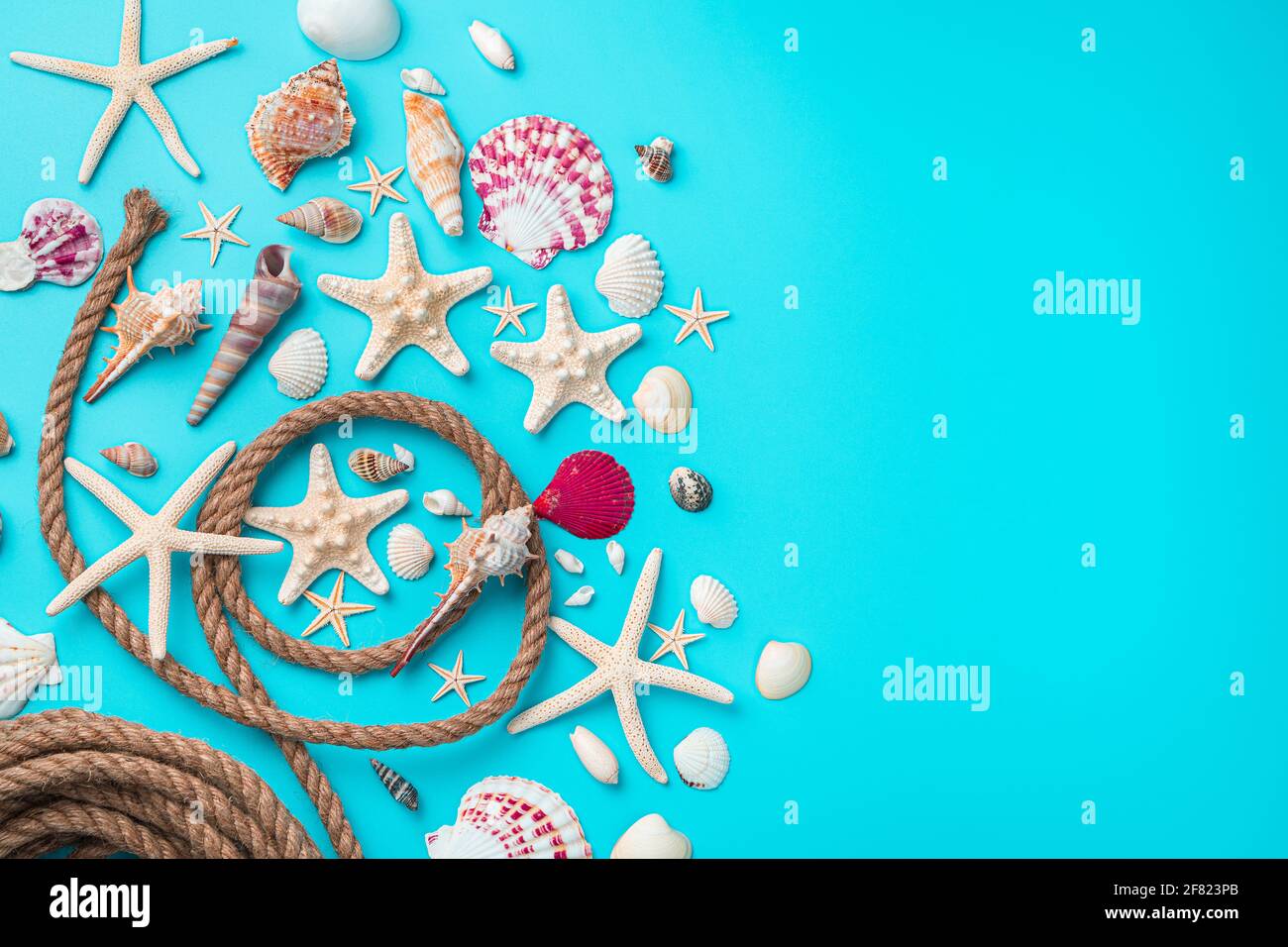 Seashells, starfish, and a rope on a cyanide background. Top view with ...