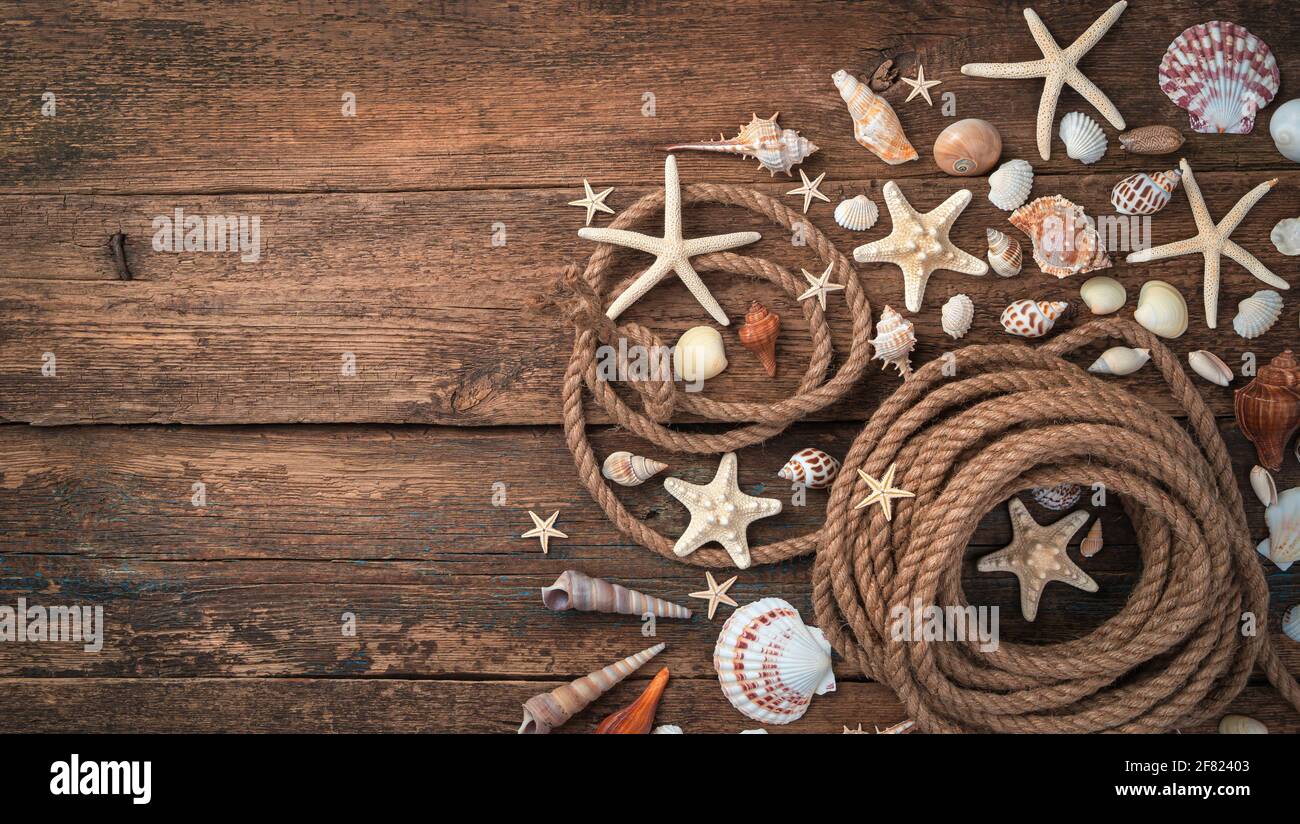 Vintage sea background with seashells, starfish and rope on a brown ...