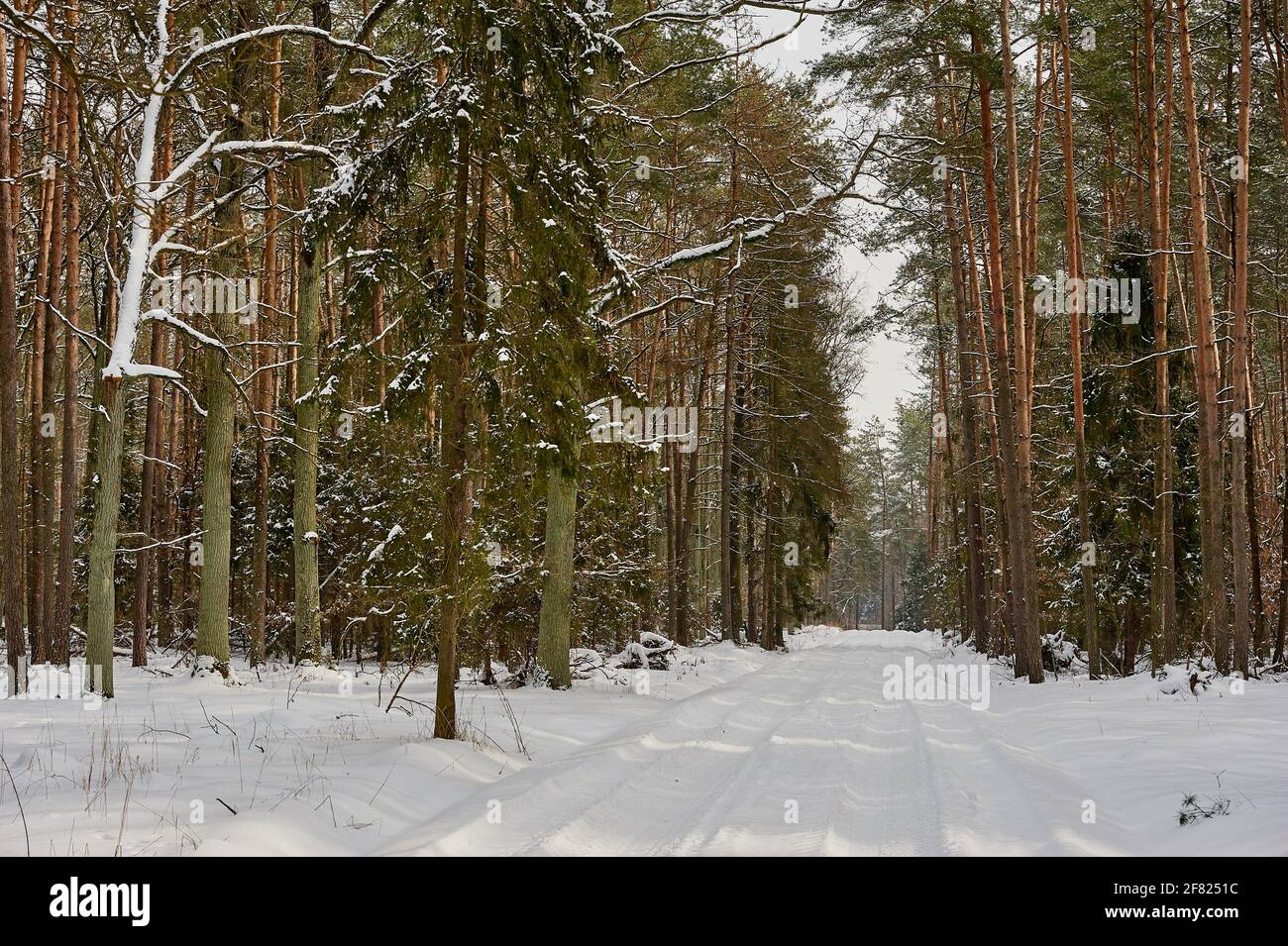 Lane covered in snow hi-res stock photography and images - Alamy