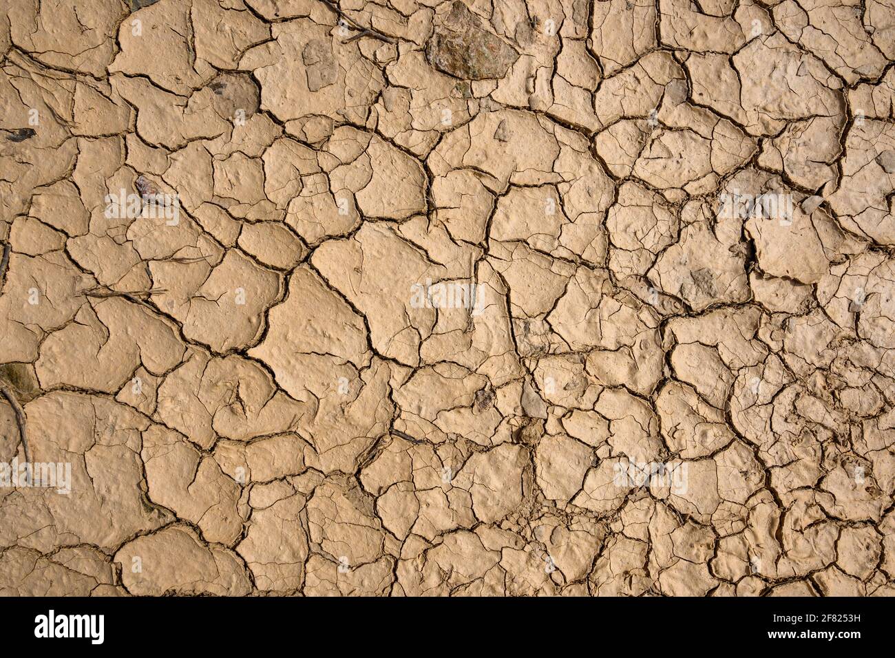Dry and cracked ground. Texture with natural patterns Stock Photo - Alamy