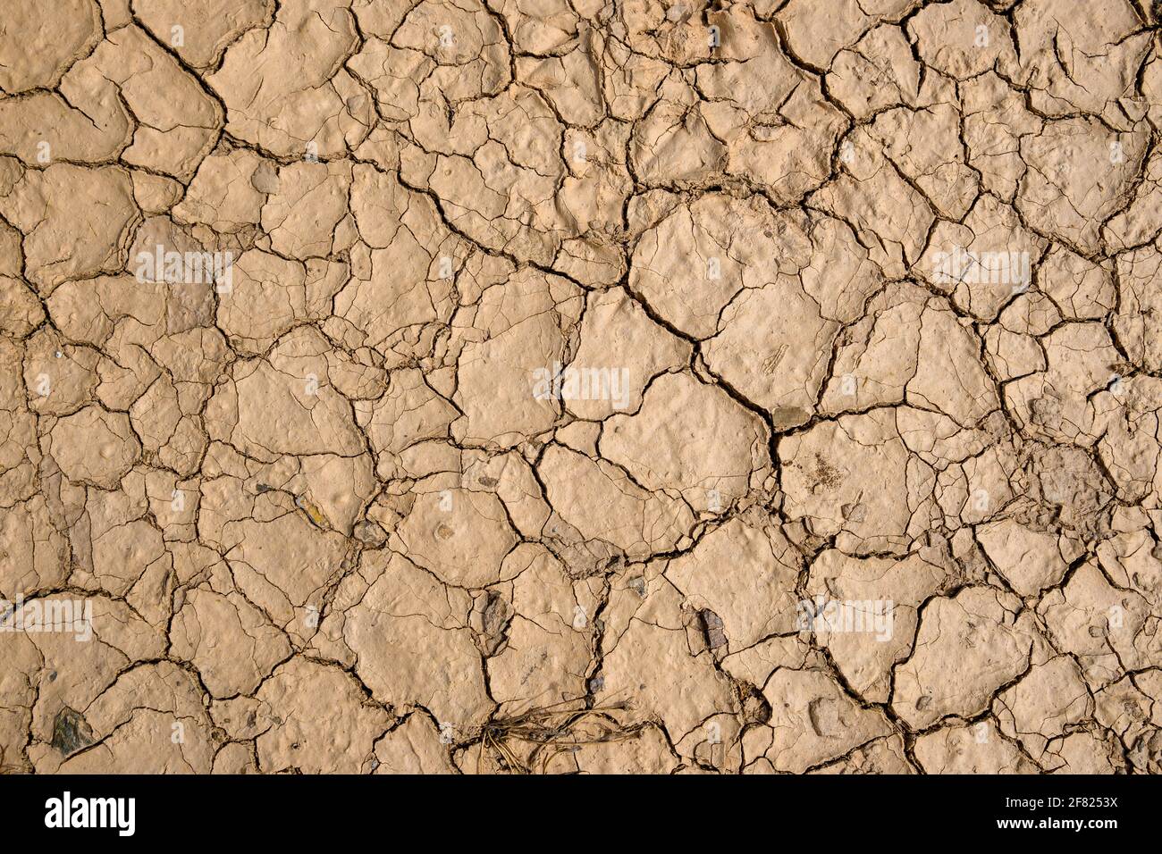 Dry and cracked ground. Texture with natural patterns Stock Photo - Alamy
