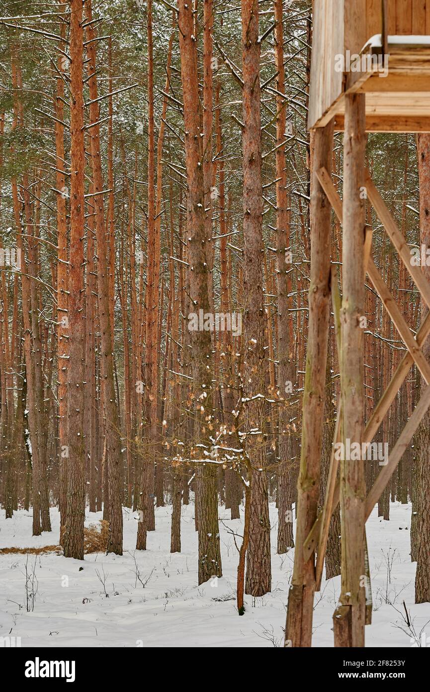 Hay stand hi-res stock photography and images - Alamy