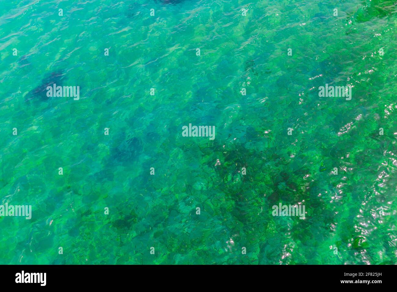 Vibrant turquoise sea texture clear hi-res stock photography and images ...