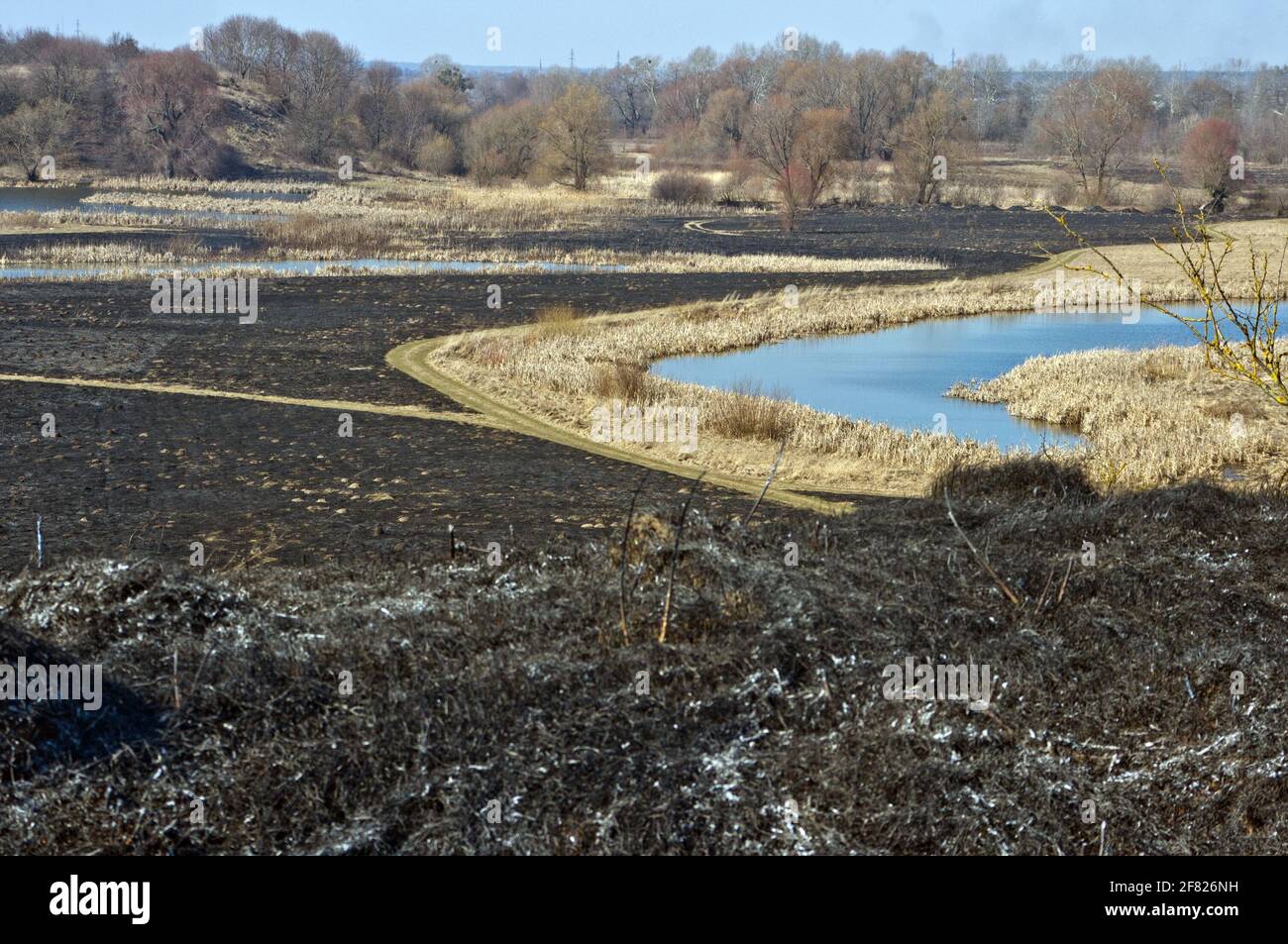 Dramatic background.Burned earth, burnt grass, ash Stock Photo - Alamy