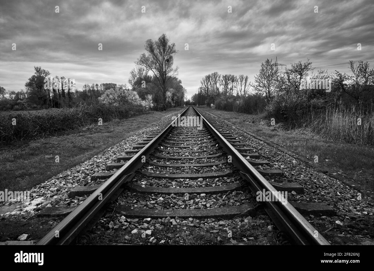 Dramatic vegetation Black and White Stock Photos & Images - Alamy