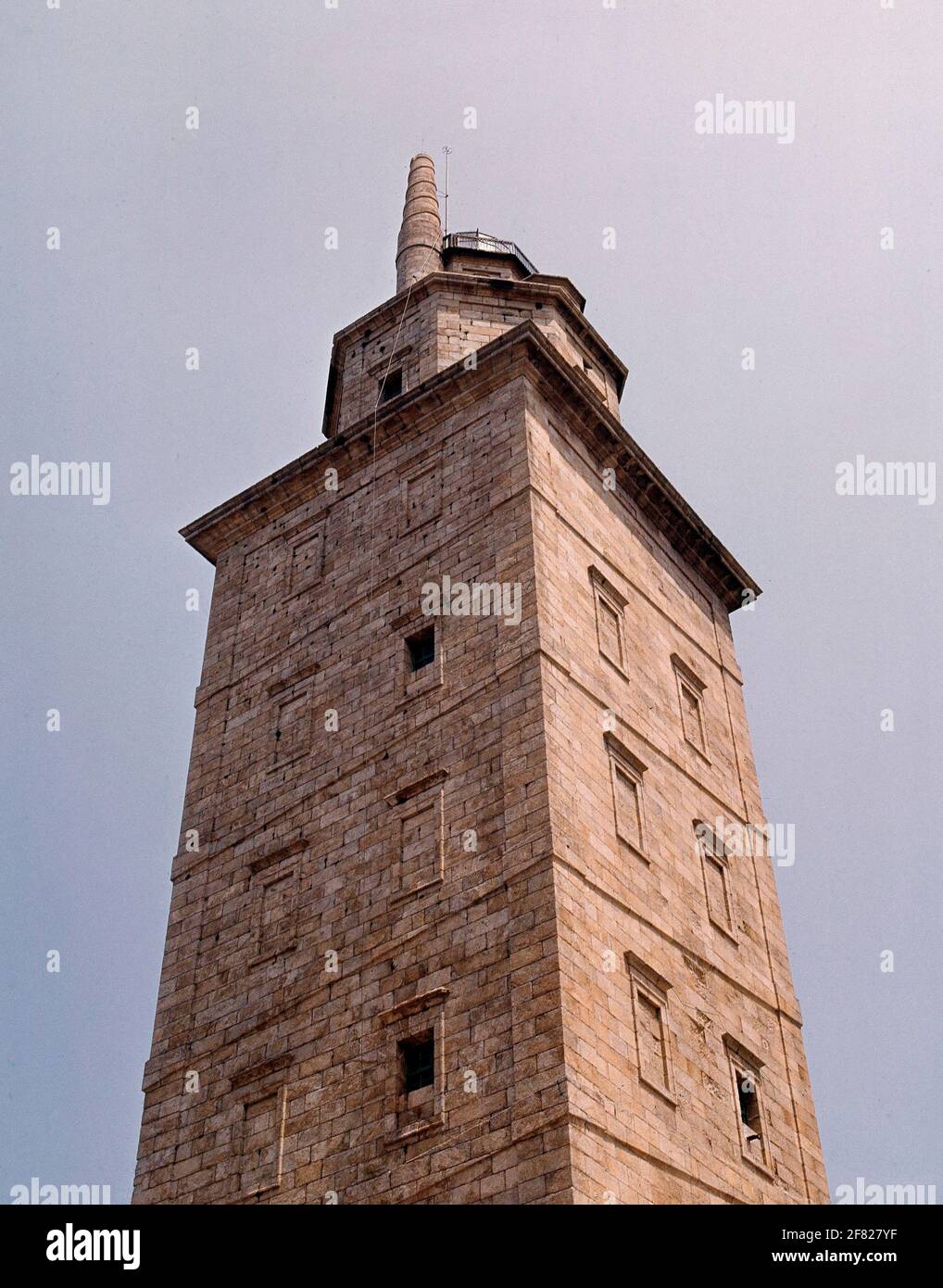 Cayo sevio lupo hi-res stock photography and images - Alamy