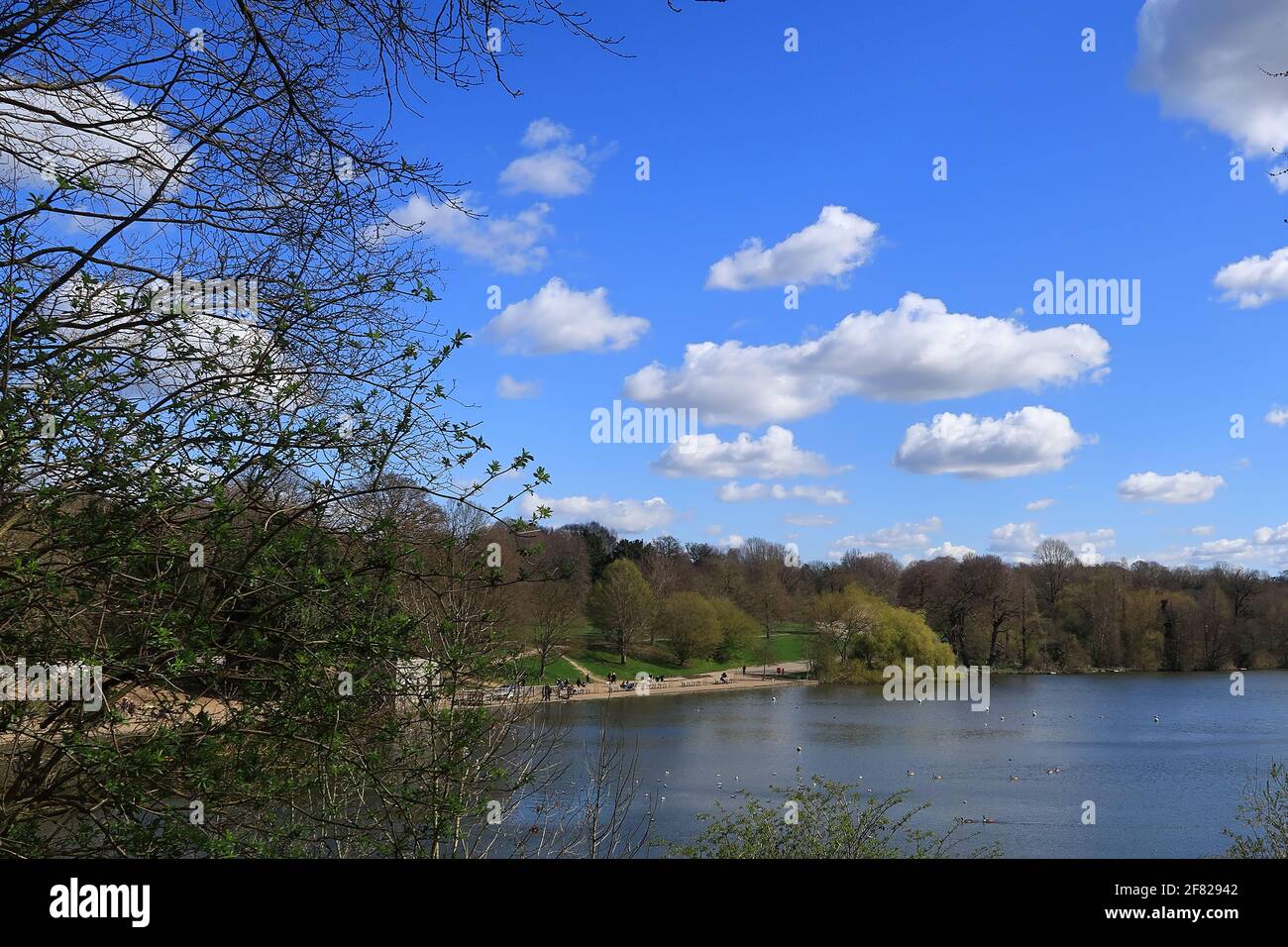 Country_park hi-res stock photography and images - Alamy