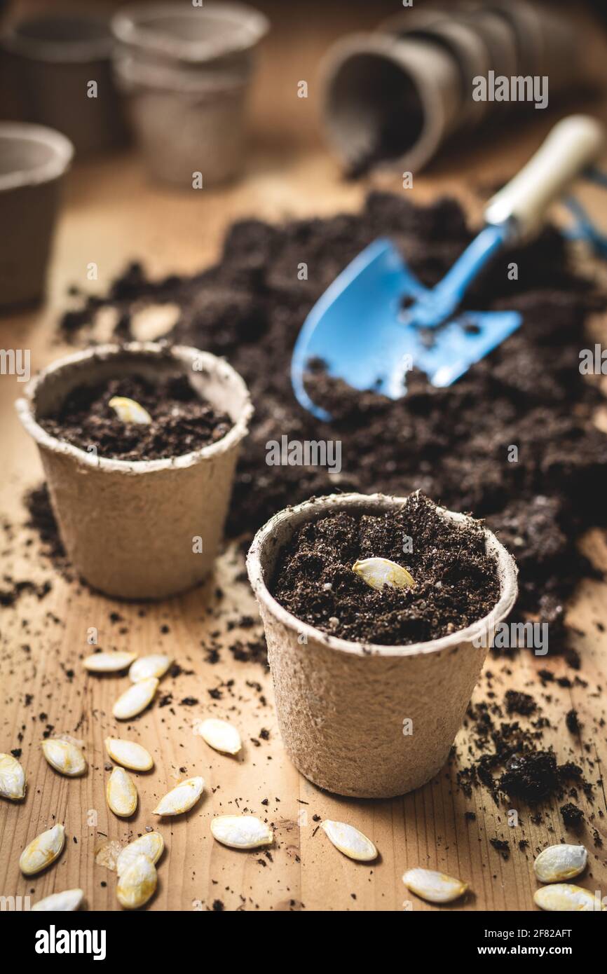 Seed compost bag hi-res stock photography and images - Alamy