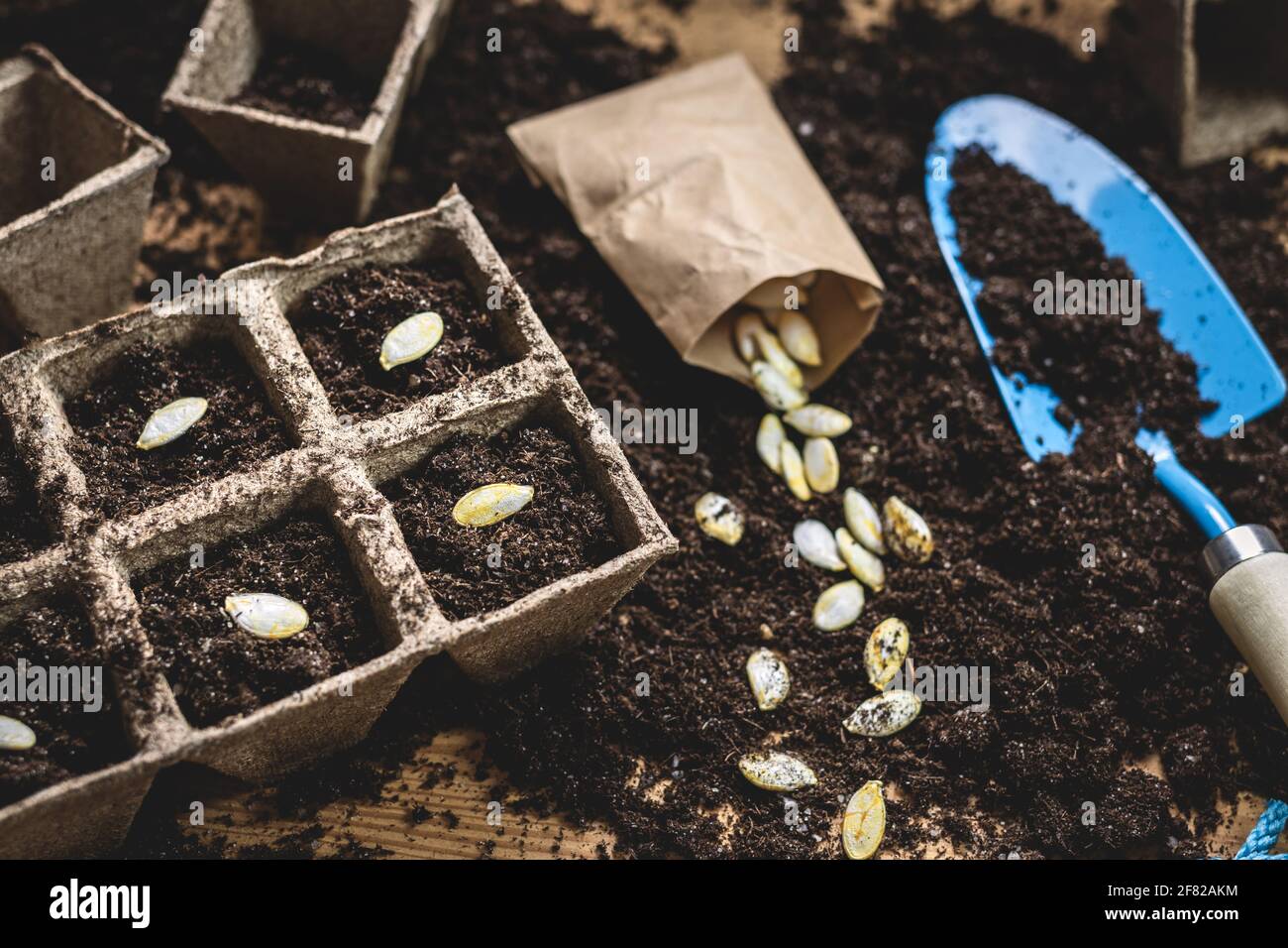 Preparation for sowing seed or planting hi-res stock photography and ...