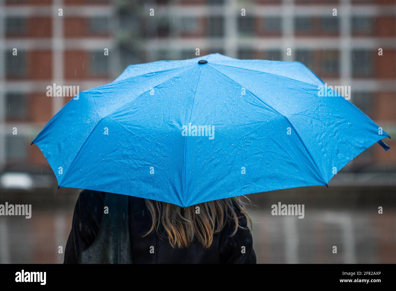 Blue rain jacket hi-res stock photography and images - Alamy