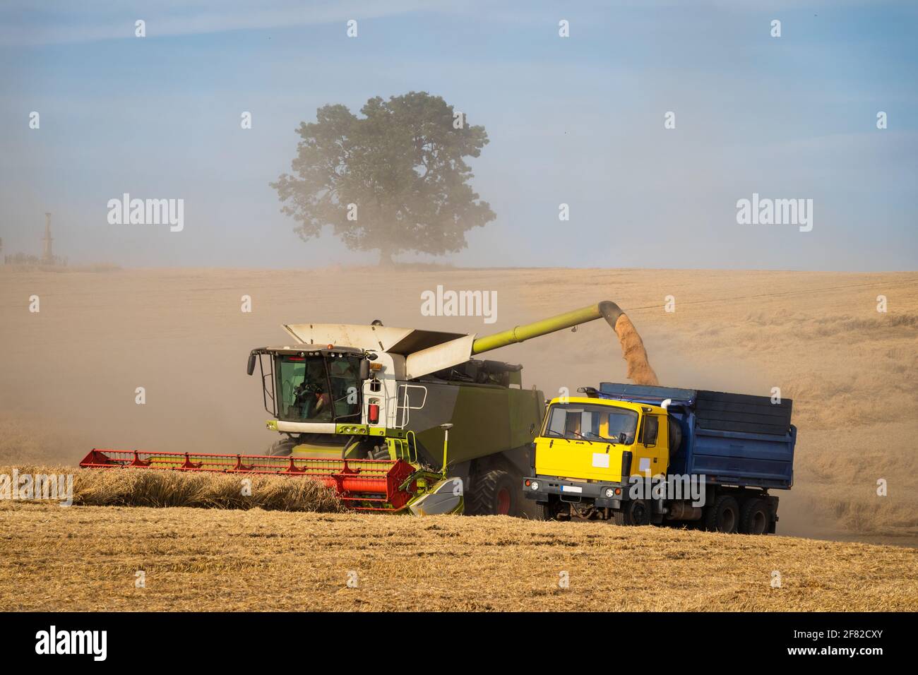 Agricultural machinery on wheat field at drought summer. Combine ...