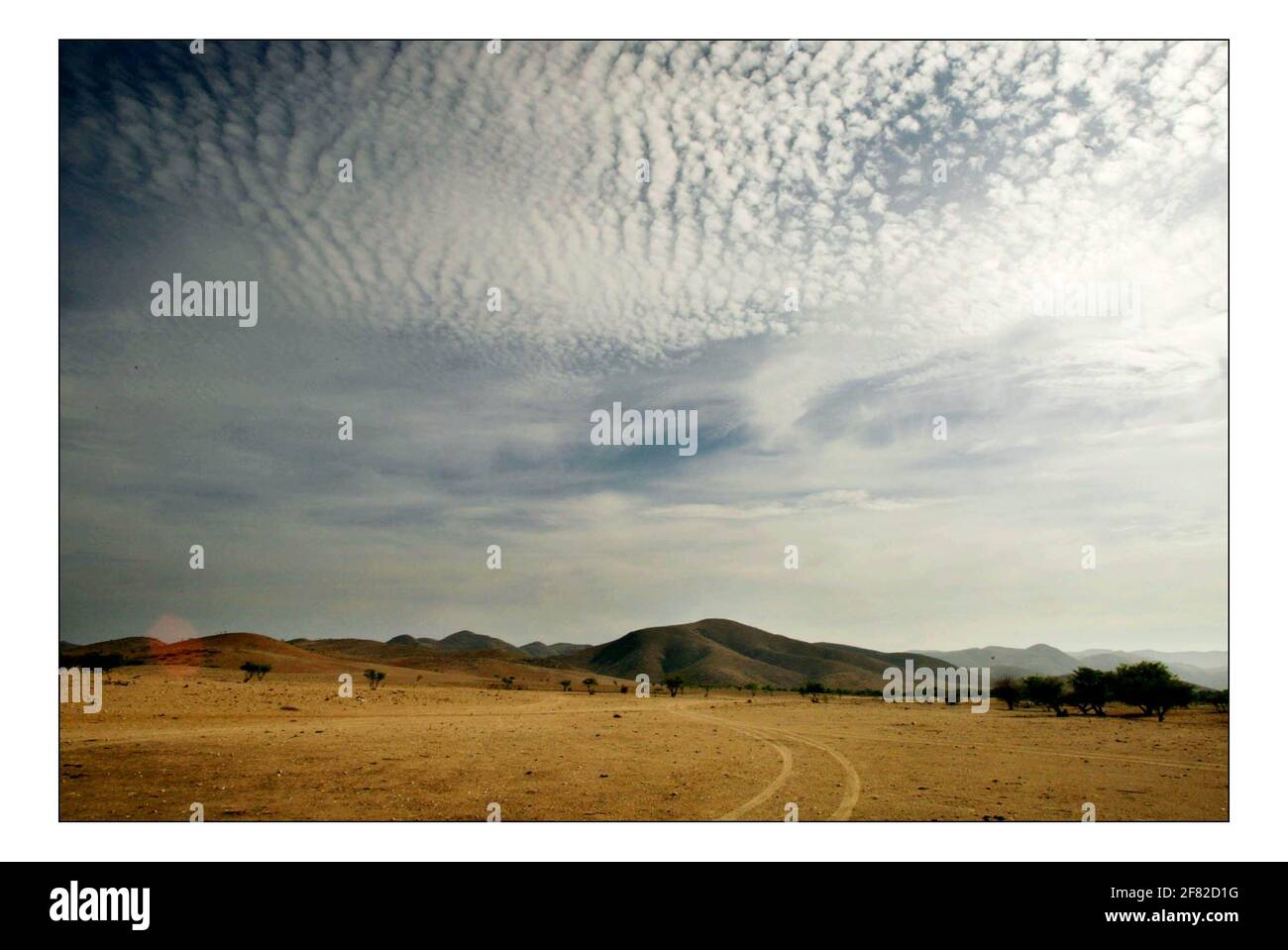 Independent Christmas Appeal......Integrated Rural Development and ...