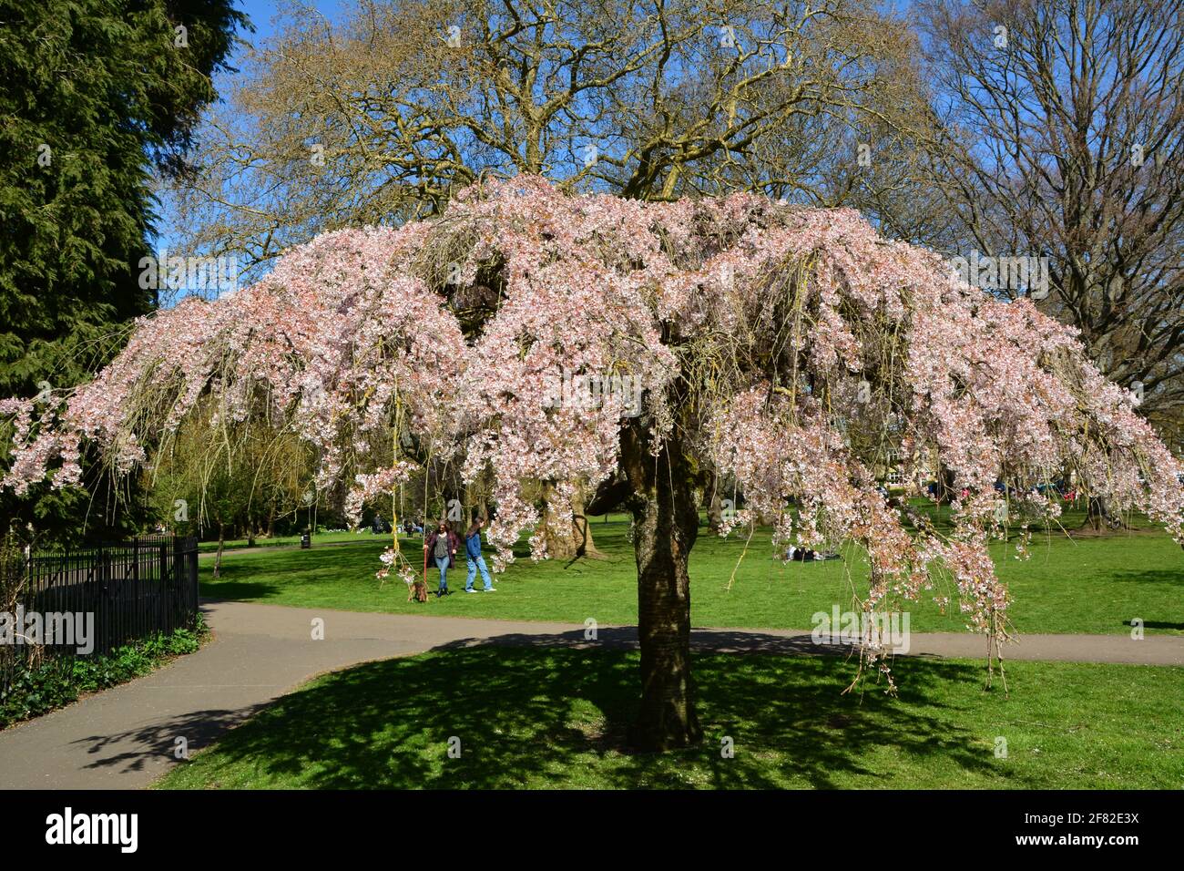 Henrietta Park, Bath, United Kingdom Stock Photo - Alamy