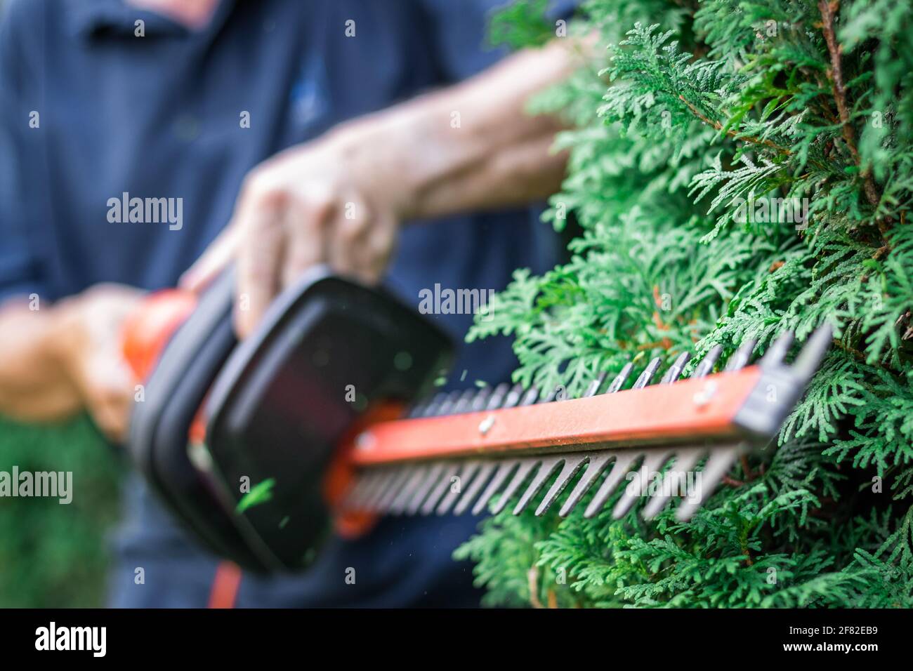 Hedge trimmer holding hi-res stock photography and images - Alamy