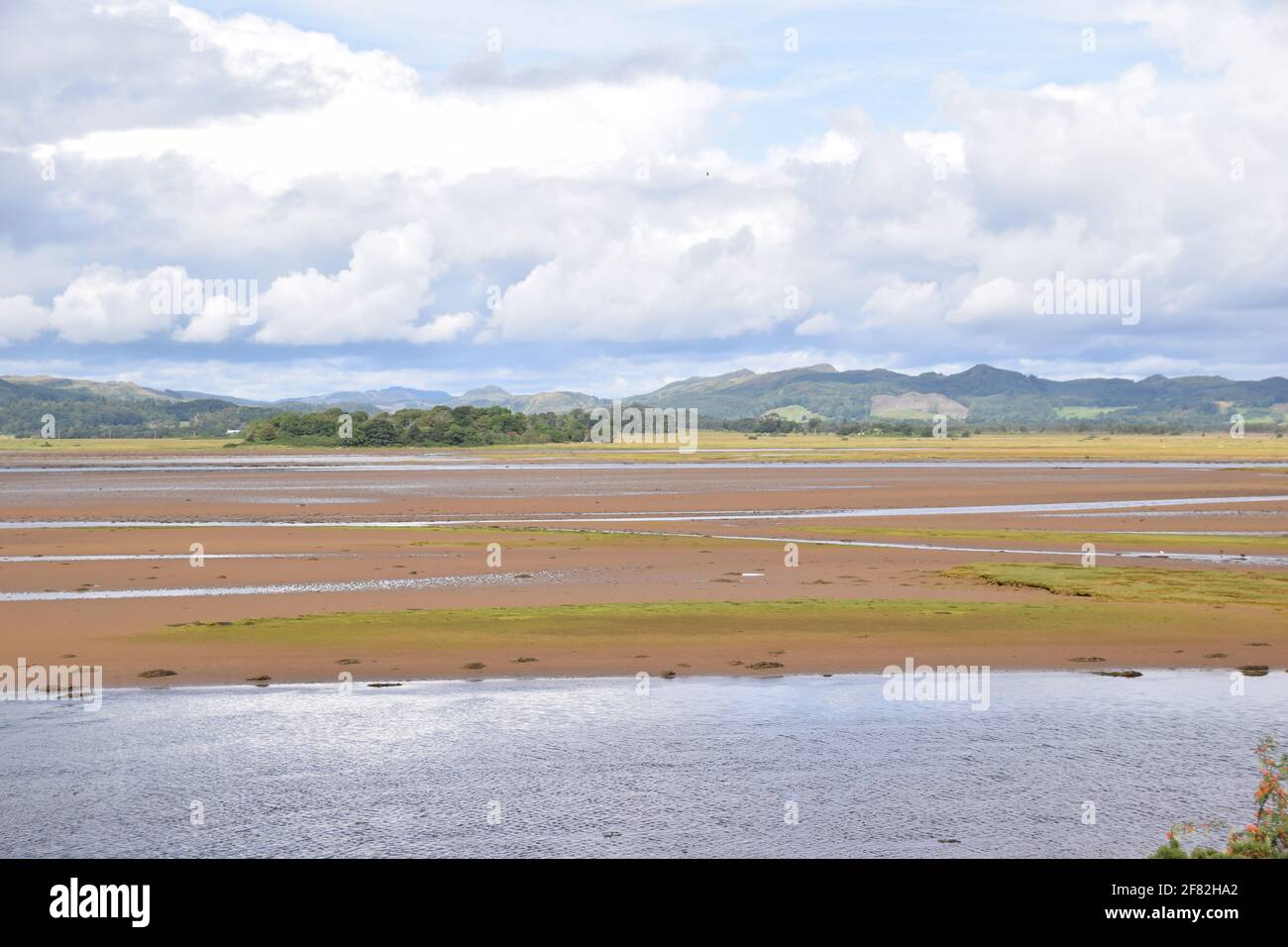 Moine Mhor National Nature Reserve, Crinan, Argyll, Scotland Stock ...