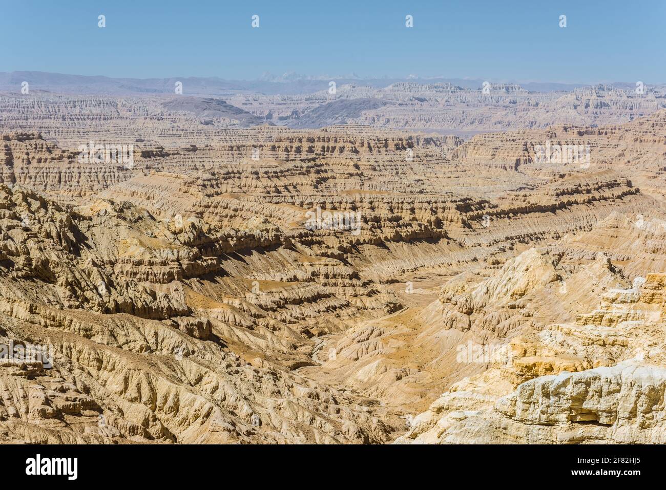 Eroded landscape and rock towers in Zanda soil forest Stock Photo - Alamy