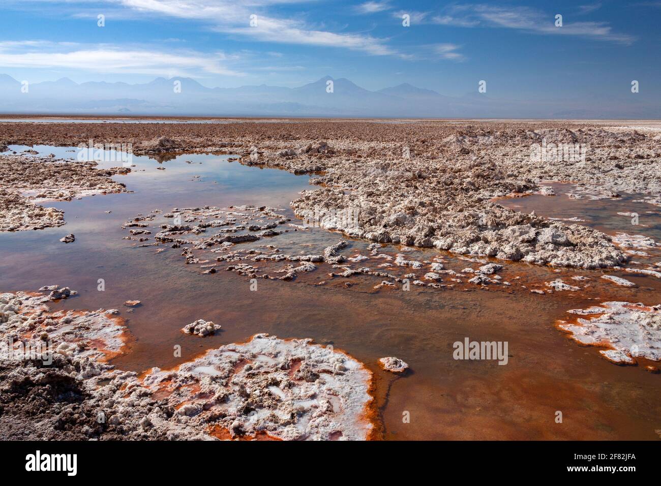 Brine pools at Chaxa Lagoon on the Atacama Salt Flats in the Atacama ...