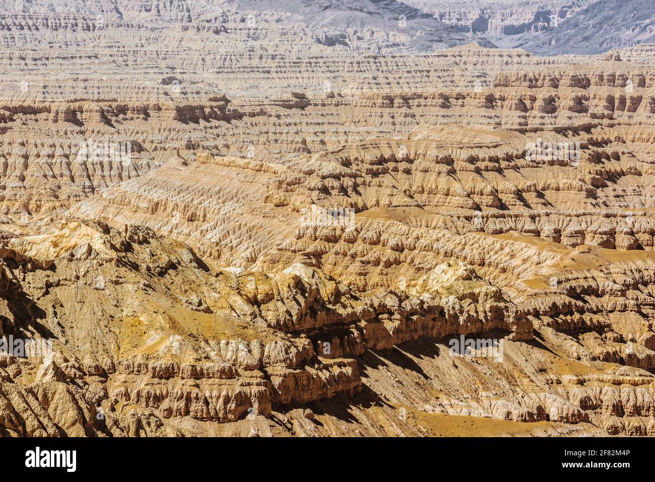 Eroded landscape and rock towers in Zanda soil forest Stock Photo - Alamy