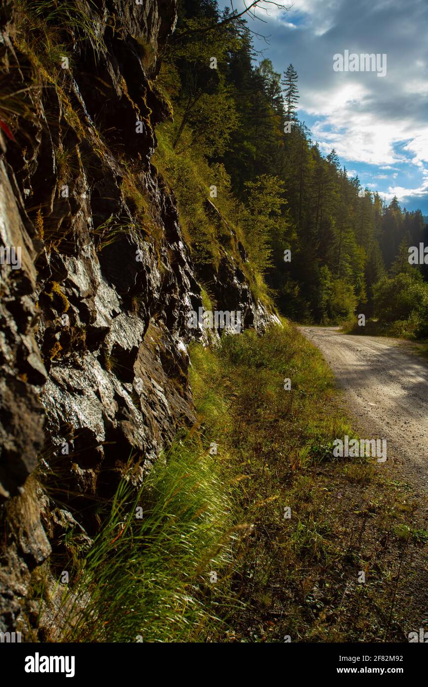 An eerie scenery of a tree-lined mountain road - vertical shot Stock ...