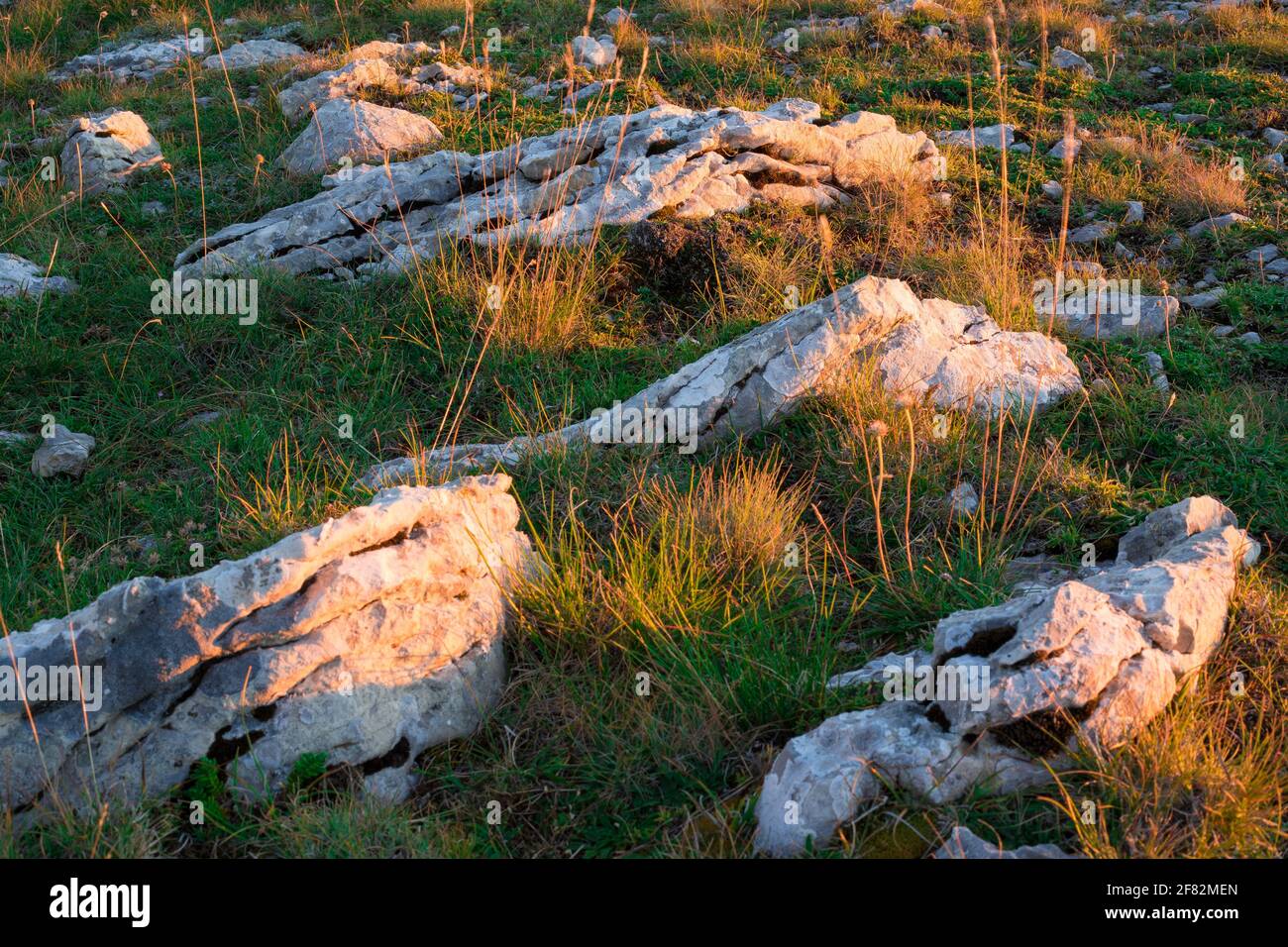 Beautiful rocks of shrubland in sunshine Stock Photo - Alamy